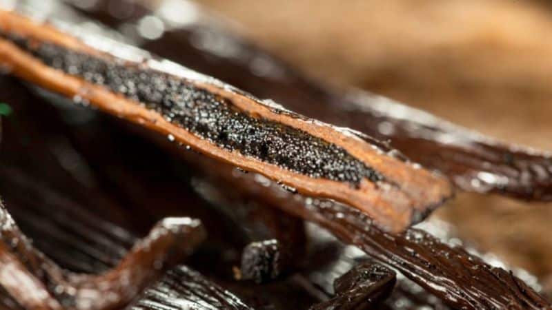 Buy Vanilla | Beans | Pods | Extract | Paste | Powder | Caviar Seeds